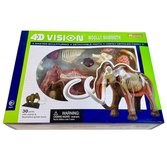 4D Vision | Toys | Tedco 4d Vision Woolly Mammoth Anatomy Model | Poshmark